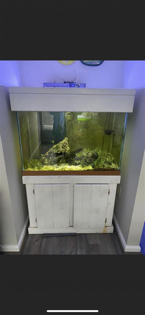 65 Gallon Saltwater Tank Capital Cichlid Association