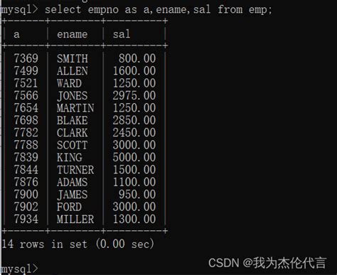 处理查询结果集 Csdn博客