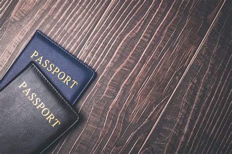 Integrated Passport System Birmann Infor Tech Ltd