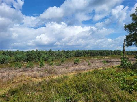 Mtb Schaarsbergen Koningsheide St 24 27 Mtb Routes En Trails Komoot