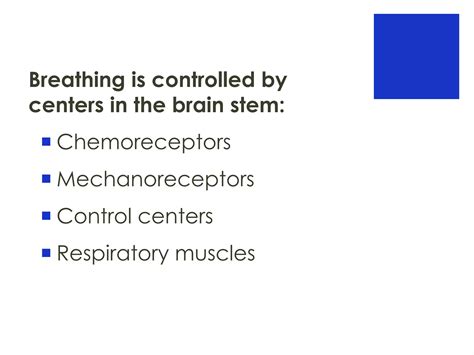 Regulation Of Respiration Pptx