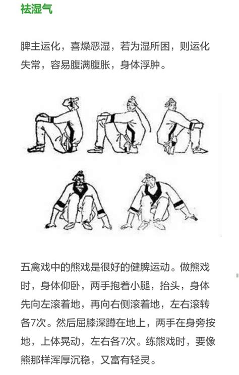 五禽戏之熊戏健脾祛湿 高清图片堆糖美图壁纸兴趣社区
