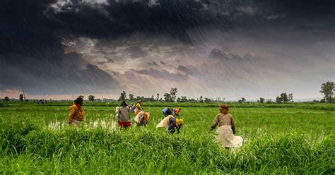 Heavy Rains In Madhya Pradesh Chhattisgarh To Worsen Flood Condition