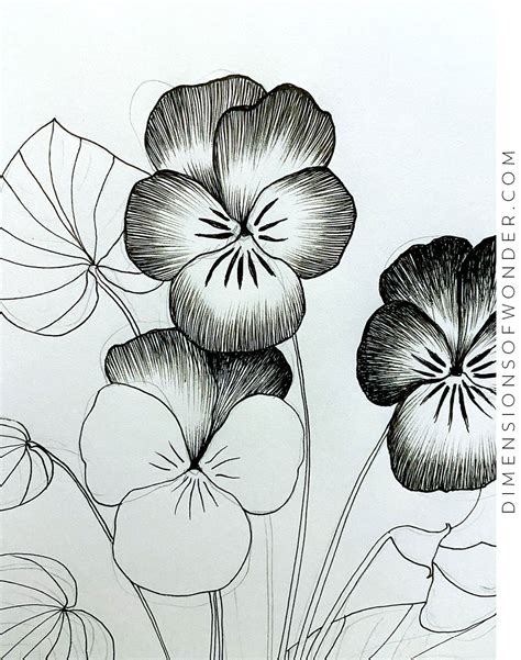 How To Draw A Violet Flower