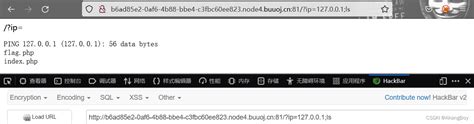 Buuctf Web 题目详解（持续更新） Csdn博客