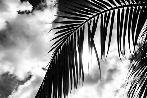 Pumpkinpanic 【シェア拡散希望ッッ‼︎‼︎】 お待たせしましたo 沖縄最大のハロウィンパーティー「pumpkin Panic 2014」の情報を遂に公開ですッ