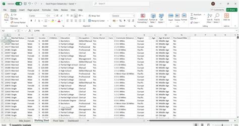 Excel Dataanalysis Dashboard Bikesales Pivottable