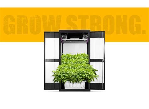 Revolutionizing Home Gardening Smart Grow Boxes 101