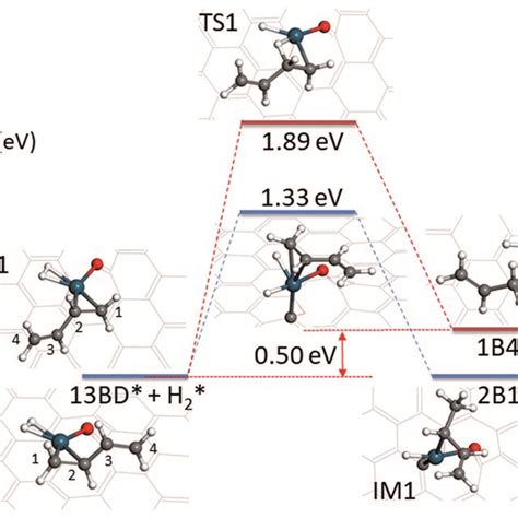 Energetics And Structures Of Stationary Points Along The Reaction