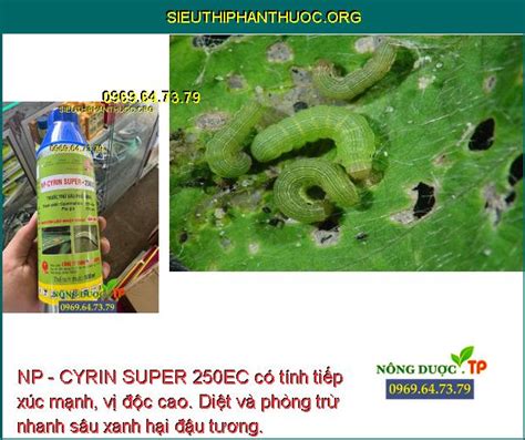 Np Cyrin Super 250ec Đặc Trị Sâu Cuốn Lá Trên Lúa Sâu Xanh Trên Đậu