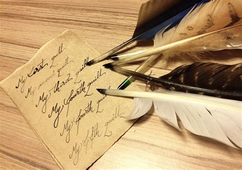 Making A Feather Quill Pen Medieval Journey