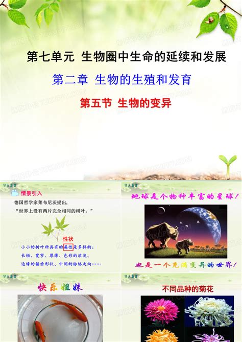 初中生物八年级下册《25第五节生物的变异》优质课件两套ppt模板下载编号qynbdvkl熊猫办公