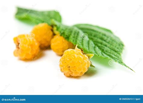 Yellow Raspberry On A White Background Stock Image Image Of Organic