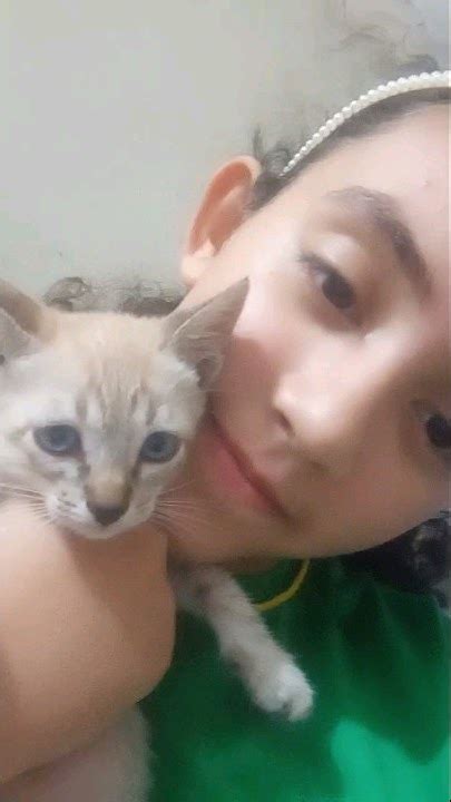 🥰🐱 Minha Nova Gatinha Shorts Gatos Fofura Brincandocomalaurianne988