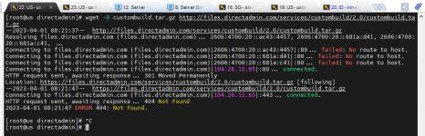 Problem Reinstall Custom Build Directadmin Forums