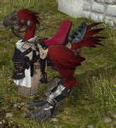 Chocobo Barding Gamer Escape Gaming News Reviews Wikis And Podcasts