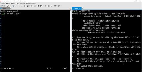 Vim工作原理 灰信网（软件开发博客聚合）