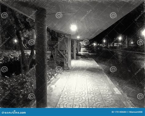 Desenho Preto E Branco Da Passarela No Jardim Noturno Ilustração Stock