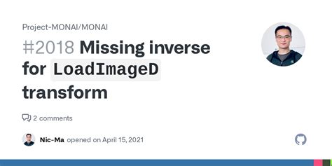 missing inverse for `loadimaged` transform · issue 2018 · project