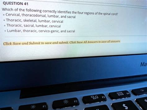 Solved Question 41 Which Of The Following Correctly Identifies The Four Regions Of The Spinal