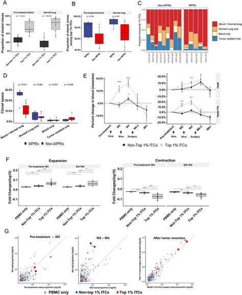 Compartmental Analysis Of T Cell Clonal Dynamics As A Function Of