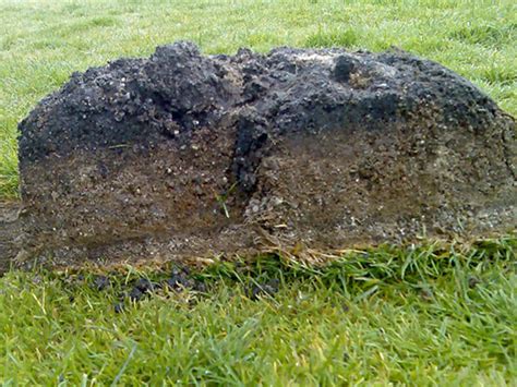 Preventing Black Layer Bernhard And Company