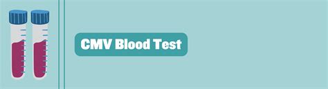 Cmv Blood Test Ultrasound Direct