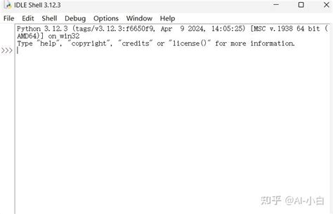 Python Ide 03