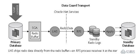 Oracle学习之dataguard一 Dg架构 关系型数据库 亿速云