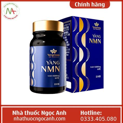 Viên Uống Yang Nmn Của Nhật Có Tốt Không Giá Bao Nhiêu Mua ở đâu