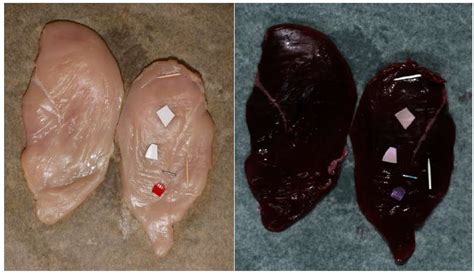 使用 Specim Fx17 高光谱相机检测食品上的异物 Specim