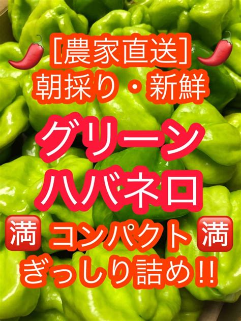 ︎ ︎ 農家直送⑦ フレッシュ グリーン ハバネロ コンパクトぎっしり詰め‼︎ メルカリ