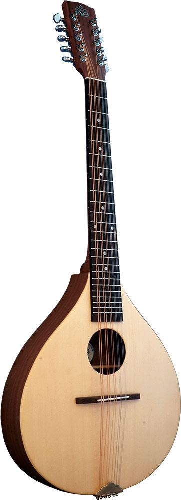 Ashbury Rathlin Cittern 10 String