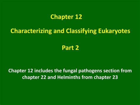 Pdf Chapter 12 Characterizing And Classifying Eukaryotes Part 2