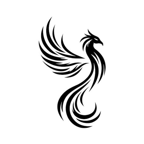 Fénix Vector Premium