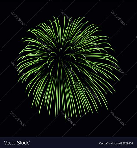 Beautiful Green Firework Bright Isolated Vector Image