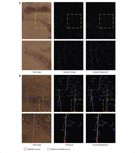 Examples And Details Of Segmentation Results A The Visual Effect