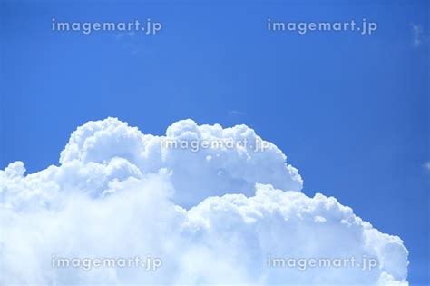 夏雲の写真素材 231978236 イメージマート