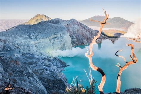 Trip Editor