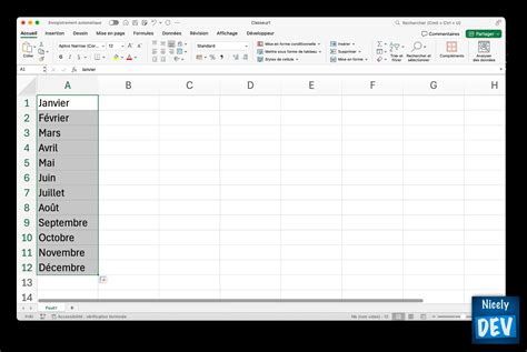 Excel maîtrisez la saisie et la manipulation de données de base