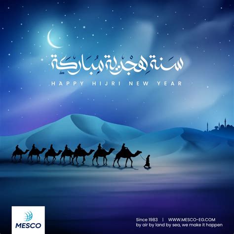 Nada Tarek Mansour Posted On Linkedin