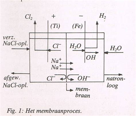 Elektrolyse Van Een Natriumchloride Oplossing Met Een Membraan Wikiwijs Maken