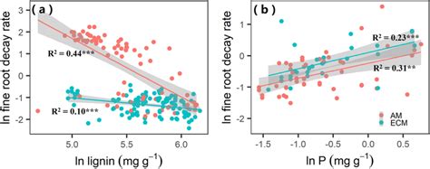 The Relations Between Fine Root Decomposition Rate And Root Chemistry Download Scientific