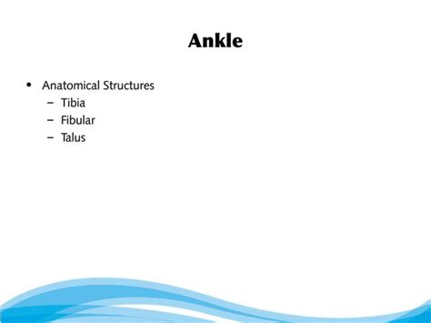 Ankle Ppt Ppt