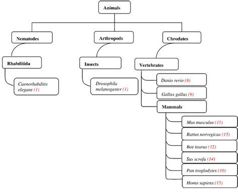 Figure 1 From Evolutionary And Functional Analysis Of The Key