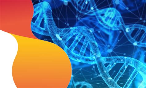 Dna Extraction Instruments Automated And High Throughput Solutions