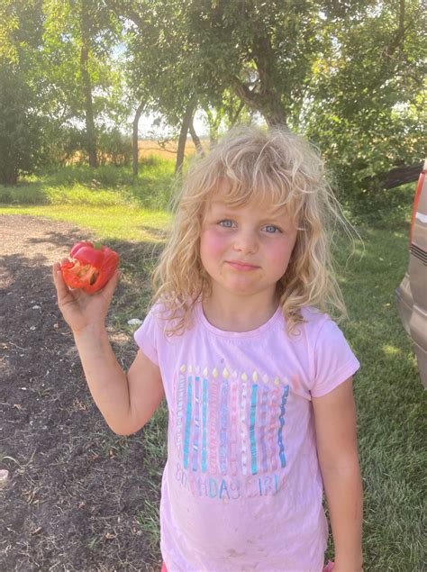 Patience Grasshopper Brown Sugar Produce