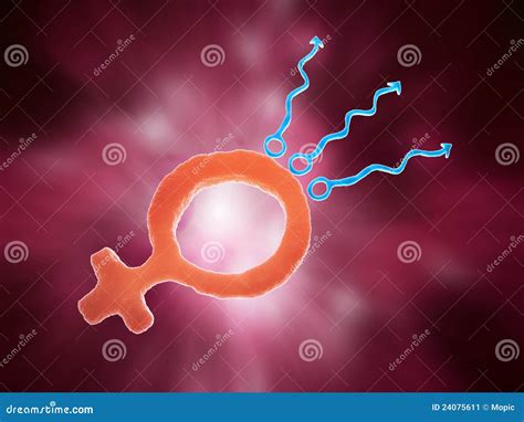 Conception Concept Stock Illustration Illustration Of Human 24075611