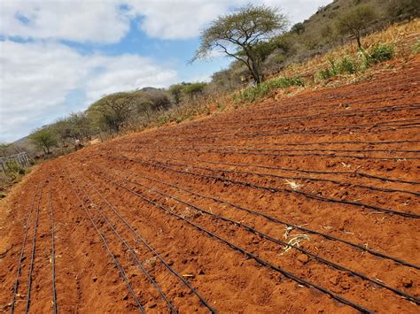 Drip Irrigation Archives Grekkon Limited