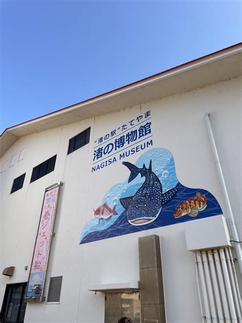 館山港から伊豆大島へ向かいます⛴️😃 Sakiさんのモーメント Yamap ヤマップ